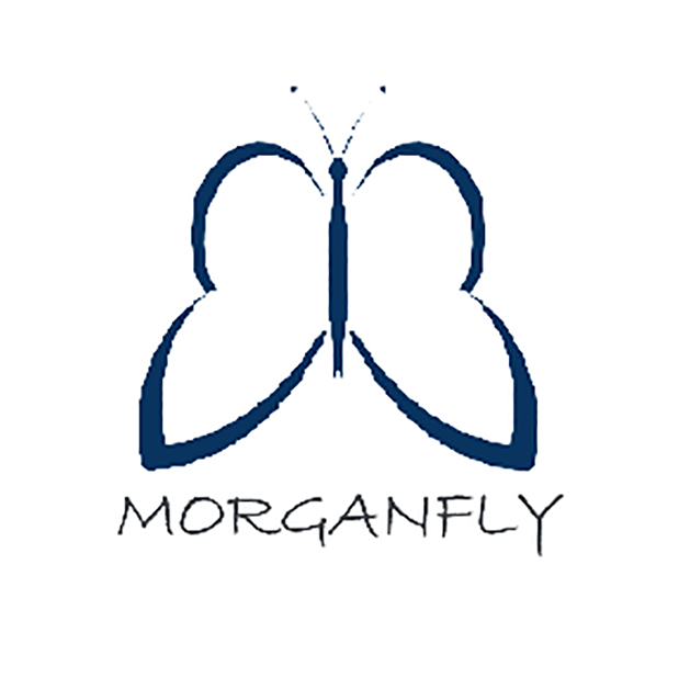 Morganfly Customization